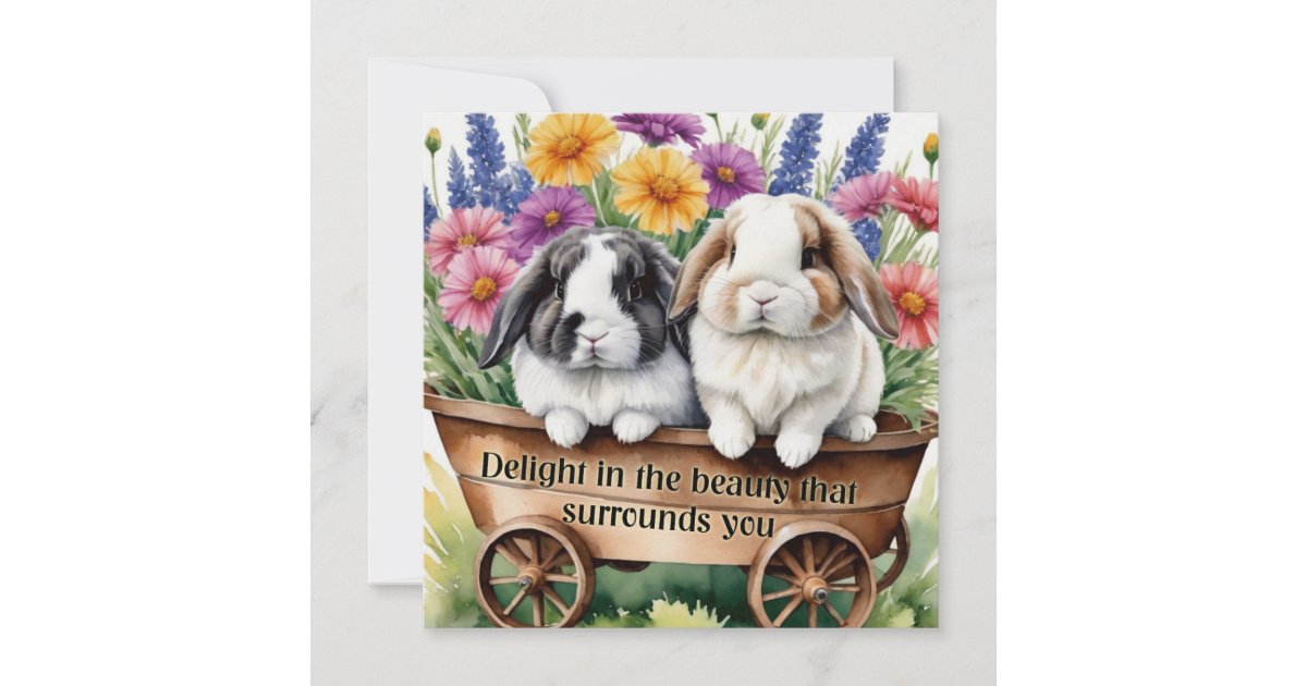 Beautiful Lop Bunny Rabbit Pretty fridge | Zazzle
