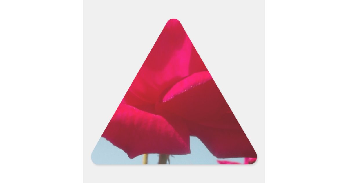 Beautiful Lovely Celestial Rose Red Against Blue Triangle Sticker | Zazzle