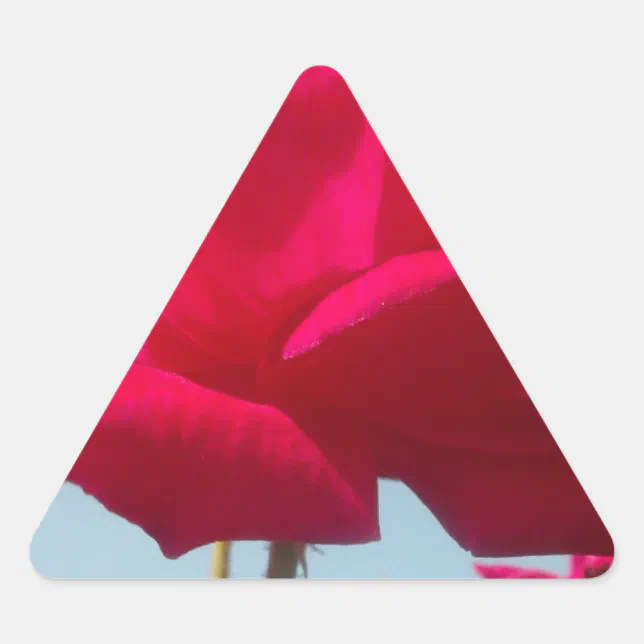 Beautiful Lovely Celestial Rose Red Against Blue Triangle Sticker | Zazzle