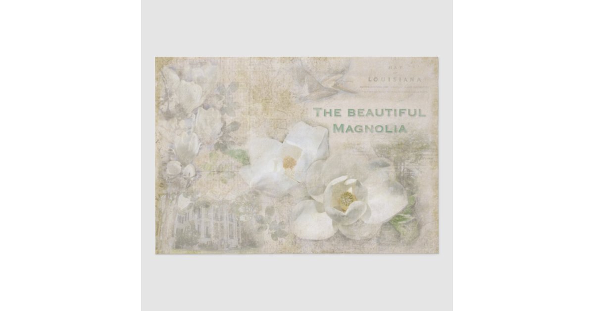 Beautiful Magnolia Vintage Collage Tissue Paper | Zazzle