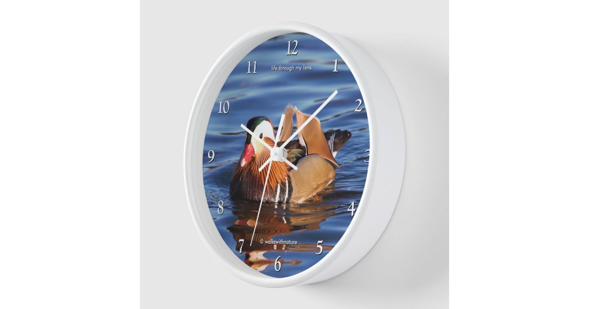 Beautiful Mandarin Duck at the Pond Clock | Zazzle