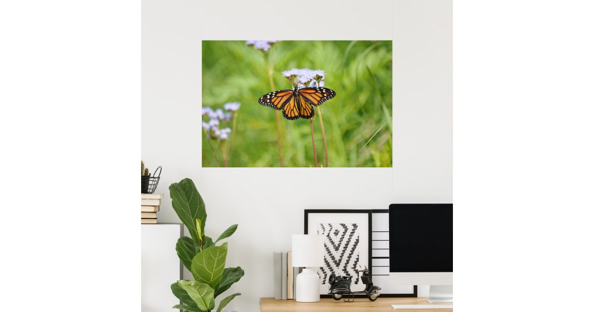 Beautiful Monarch Butterfly Flower Photography Art Poster | Zazzle