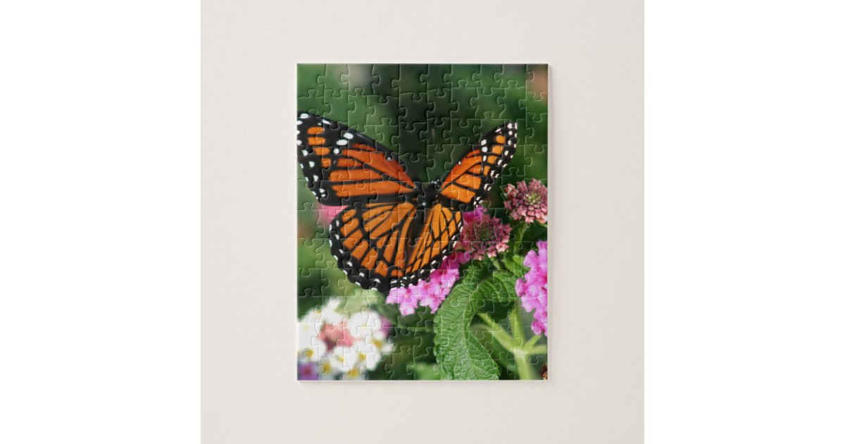 Beautiful Monarch Butterfly Jigsaw Puzzle | Zazzle