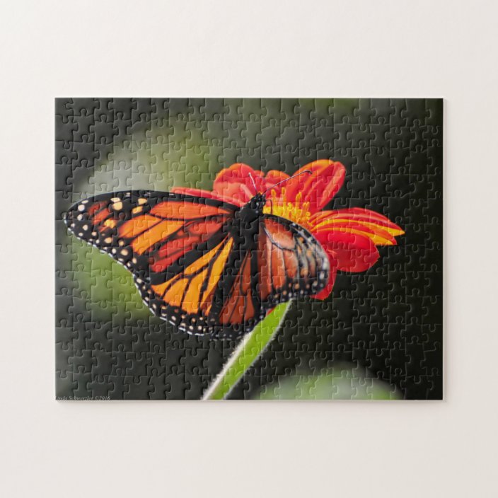 Beautiful Monarch Butterfly - Puzzle | Zazzle.com