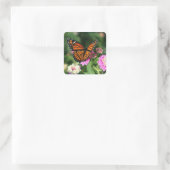 Beautiful Monarch Butterfly Square Sticker | Zazzle