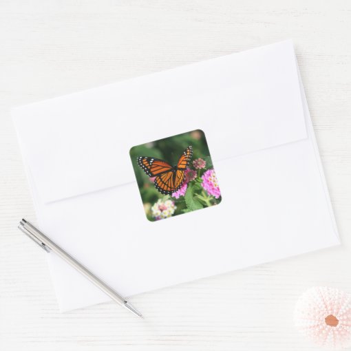 Beautiful Monarch Butterfly Square Sticker | Zazzle