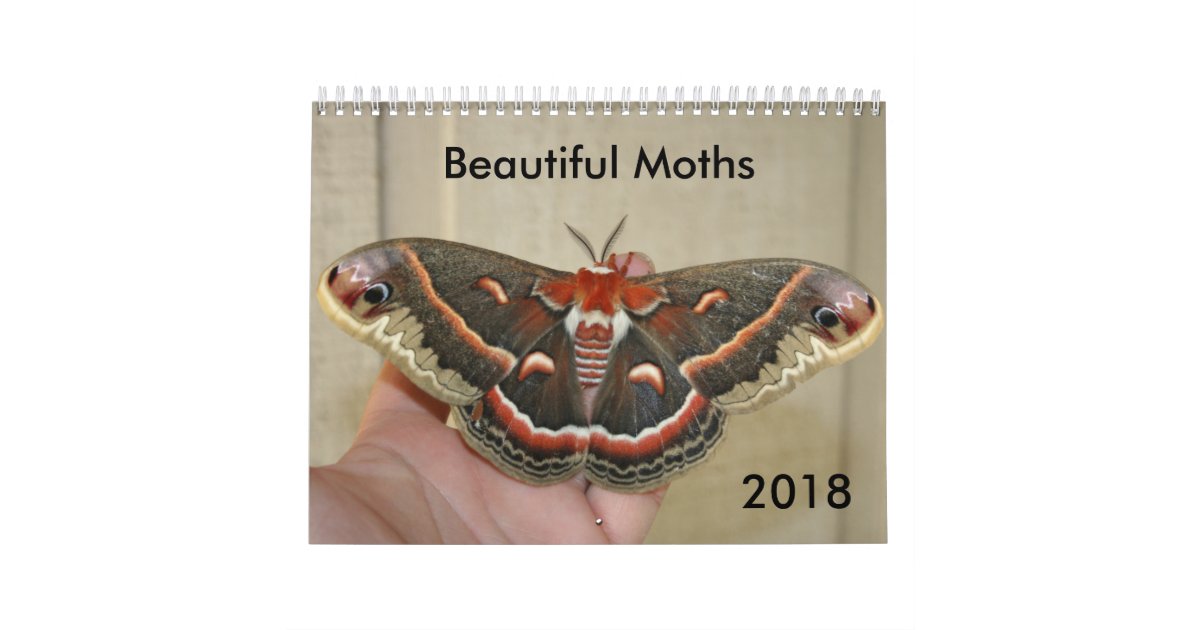 Beautiful Moths Calendar 2018 | Zazzle