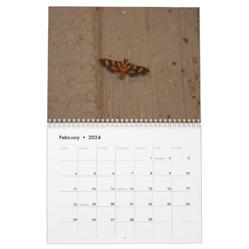 Beautiful Moths Calendar 2018 | Zazzle