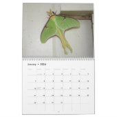 Beautiful Moths Calendar 2018 | Zazzle