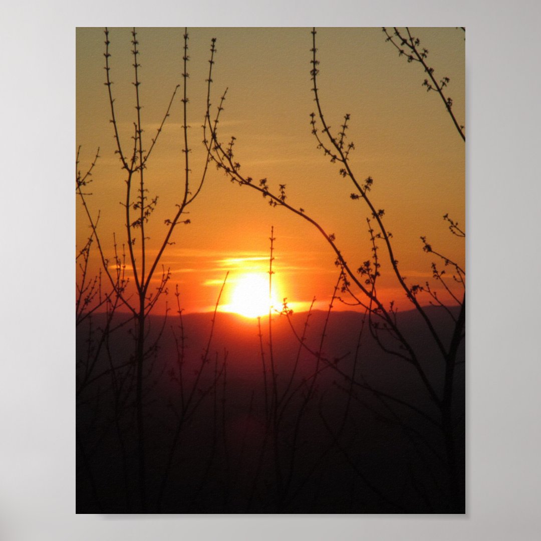 Beautiful Nature Sunset Poster Print Picture | Zazzle