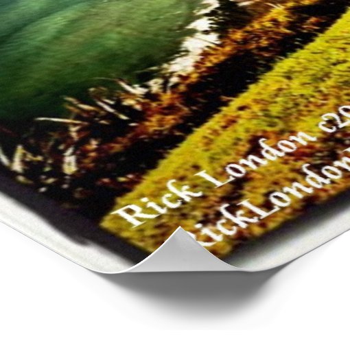 Beautiful New Zealand Photo Poster W/NZ Proverb | Zazzle