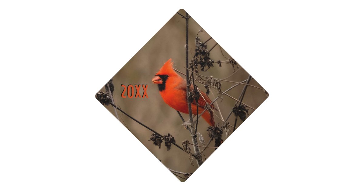 Beautiful Northern Cardinal Graduation Cap Topper | Zazzle