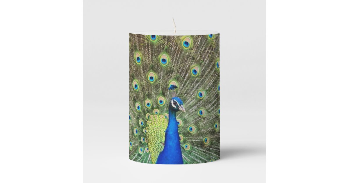 Beautiful peacock bird pillar candle | Zazzle