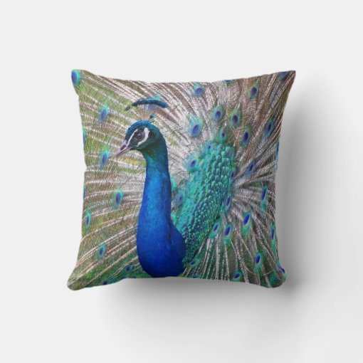 Beautiful Peacock Decorative Throw Pillow | Zazzle