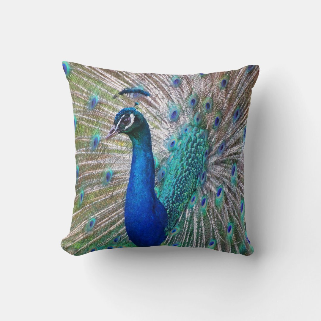Beautiful Peacock Decorative Throw Pillow | Zazzle