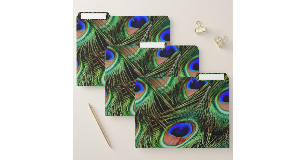 Beautiful Peacock Feathers File Folder | Zazzle