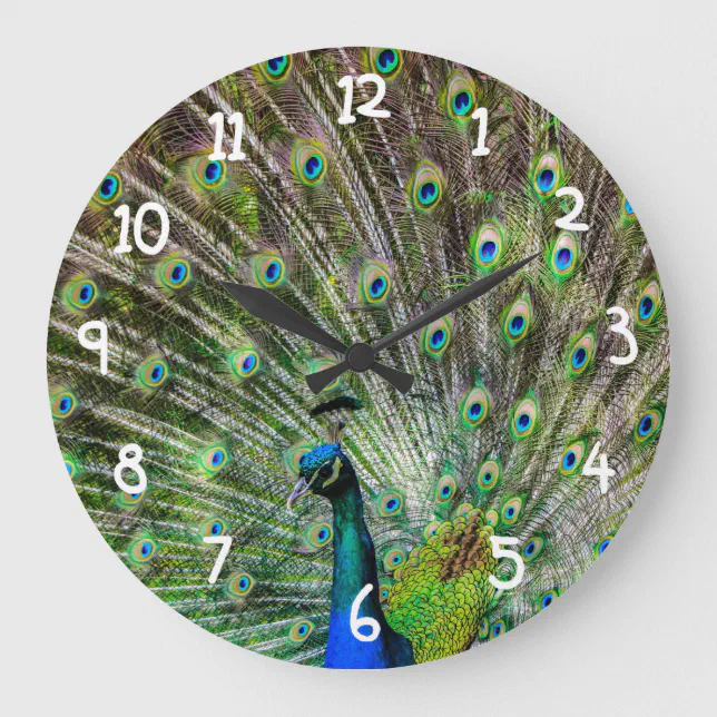 Beautiful Peacock Large Clock | Zazzle
