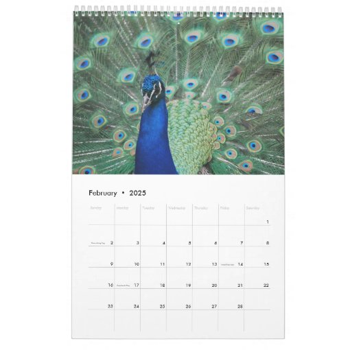 Beautiful Peacocks 2021 Calendar | Zazzle