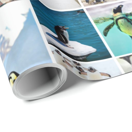 Beautiful Penguin Photo Collage Pattern Wrapping Paper | Zazzle