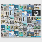 Beautiful Penguin Photo Collage Pattern Wrapping Paper | Zazzle
