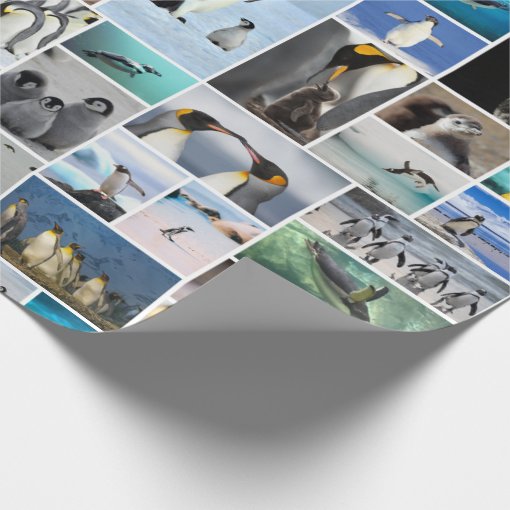 Beautiful Penguin Photo Collage Pattern Wrapping Paper | Zazzle