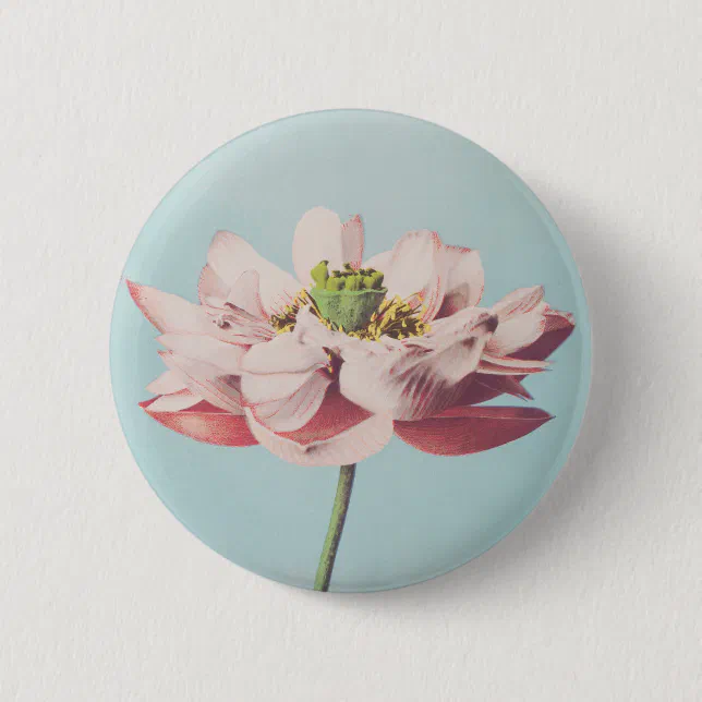 Beautiful photomechanical prints of Lotus Flowers Button | Zazzle