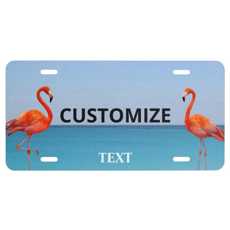 Beautiful Pink Flamingos on Light Blue License Plate | Zazzle