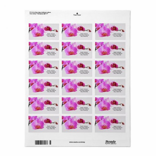Beautiful Pink Orchids Label | Zazzle