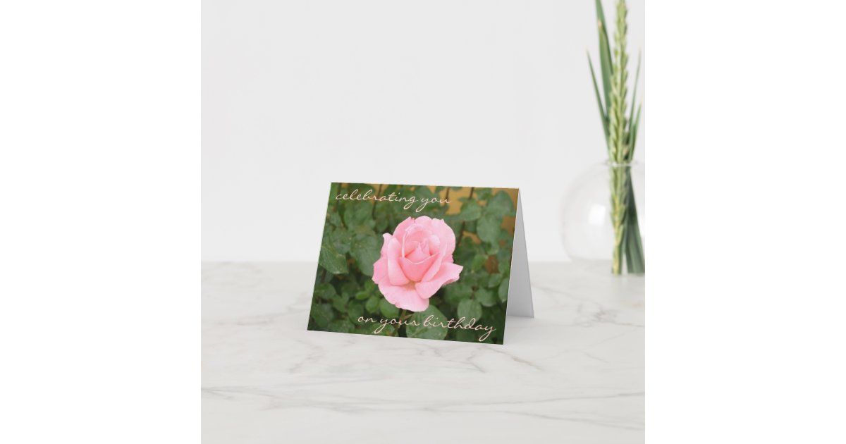 Beautiful Pink Rose Birthday Card | Zazzle.com