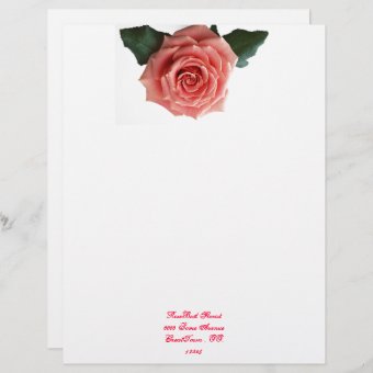 Beautiful 'Pink Rose' Flower Letterhead | Zazzle