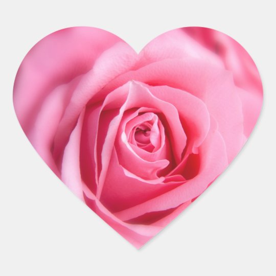 Beautiful Pink Rose Heart Sticker Zazzle