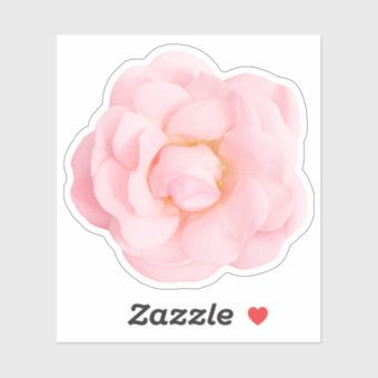Beautiful pink rose stickers | Zazzle