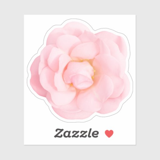 Beautiful pink rose stickers | Zazzle