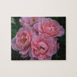 Beautiful Pink Roses Jigsaw Puzzle | Zazzle