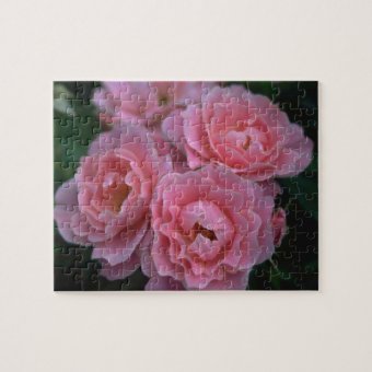 Beautiful Pink Roses Jigsaw Puzzle | Zazzle