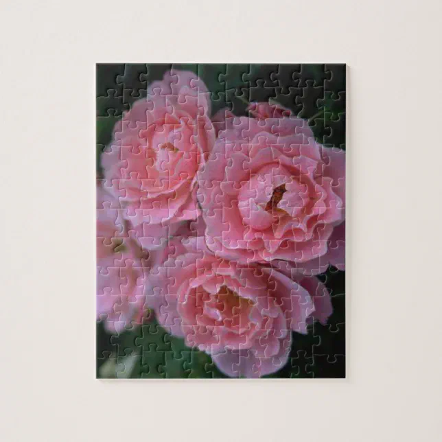 Beautiful Pink Roses Jigsaw Puzzle | Zazzle