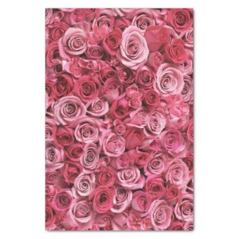 Beautiful Pink Roses Tissue Paper | Zazzle