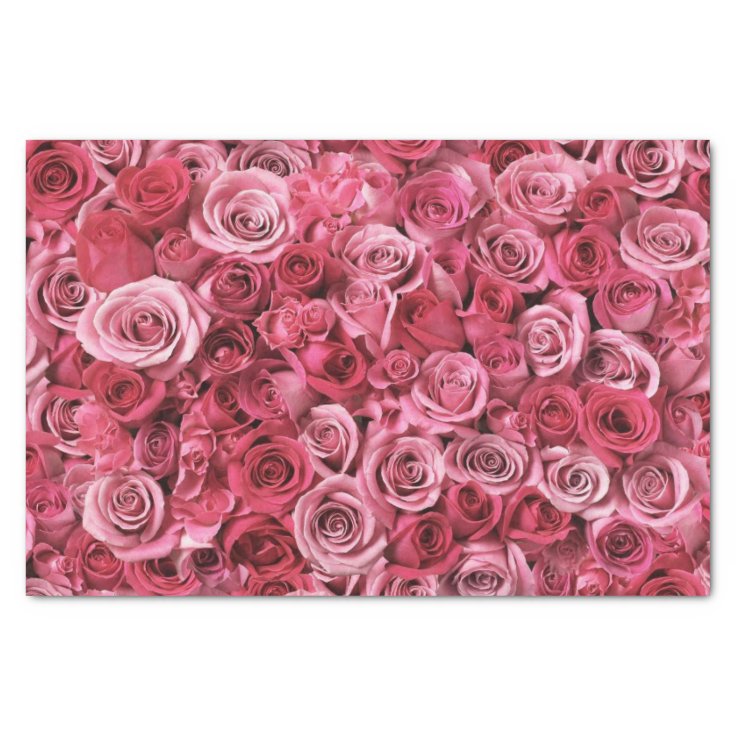 Beautiful Pink Roses Tissue Paper | Zazzle
