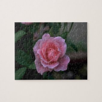 Beautiful Pink Single Rose Jigsaw Puzzle | Zazzle