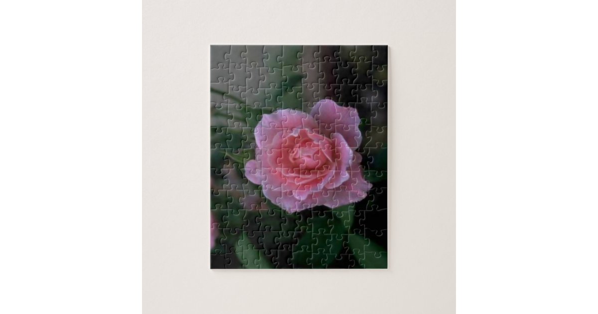 Beautiful Pink Single Rose Jigsaw Puzzle | Zazzle