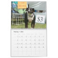 Beautiful Pitbulls 2014 Dog Calendar | Zazzle