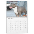 Beautiful Pitbulls 2014 Dog Calendar | Zazzle
