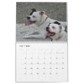 Beautiful Pitbulls 2014 Dog Calendar | Zazzle