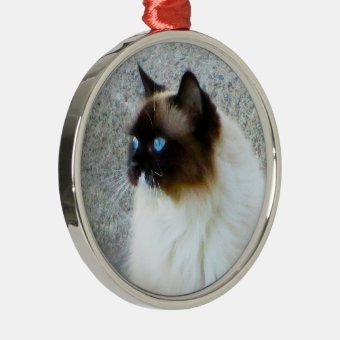 Beautiful Ragdoll Birman Himalayan Cat Metal Ornament | Zazzle