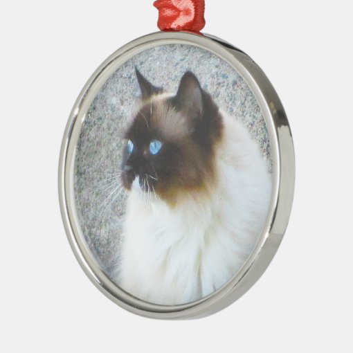 Beautiful Ragdoll Birman Himalayan Cat Metal Ornament | Zazzle Beautiful Ragdoll Birman Himalayan Cat Metal Ornament | Zazzle