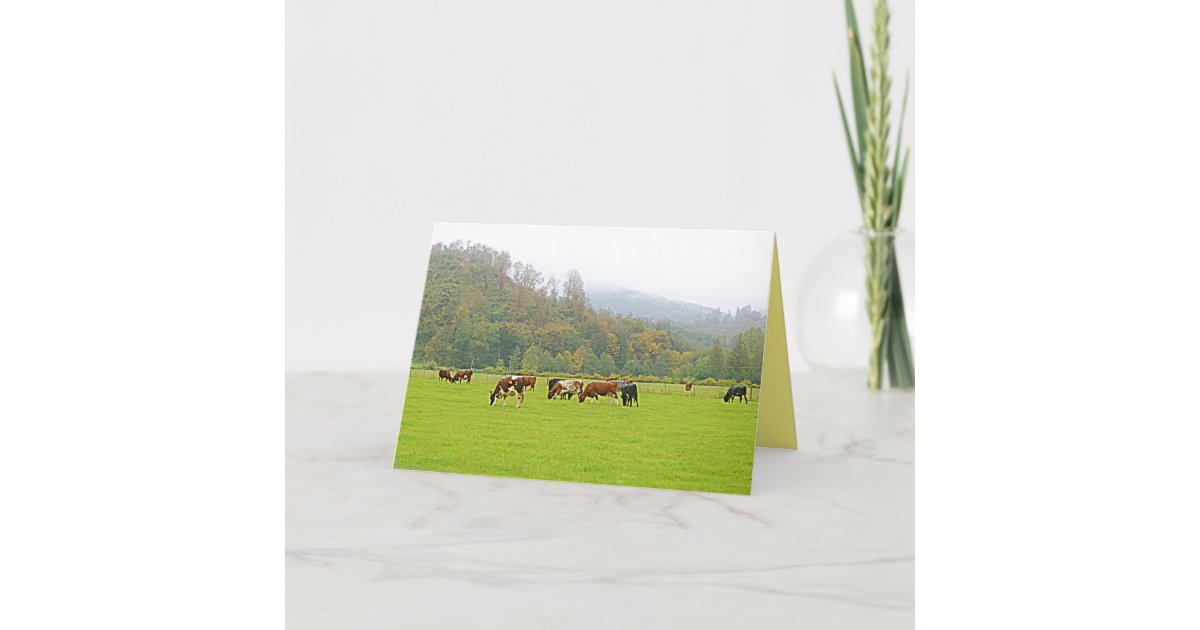 Beautiful ranch, cows & green pasture, farm scene card | Zazzle