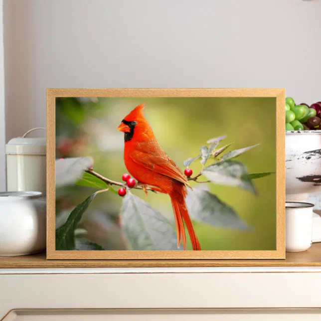 Beautiful Red Cardinal Bird in Tree Poster | Zazzle