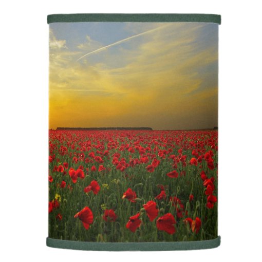 Beautiful Red Poppy Field At Sunrise Photograph Lamp Shade | Zazzle
