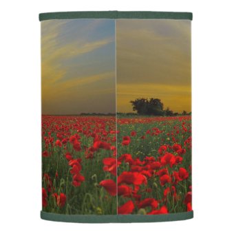Beautiful Red Poppy Field At Sunrise Photograph Lamp Shade | Zazzle