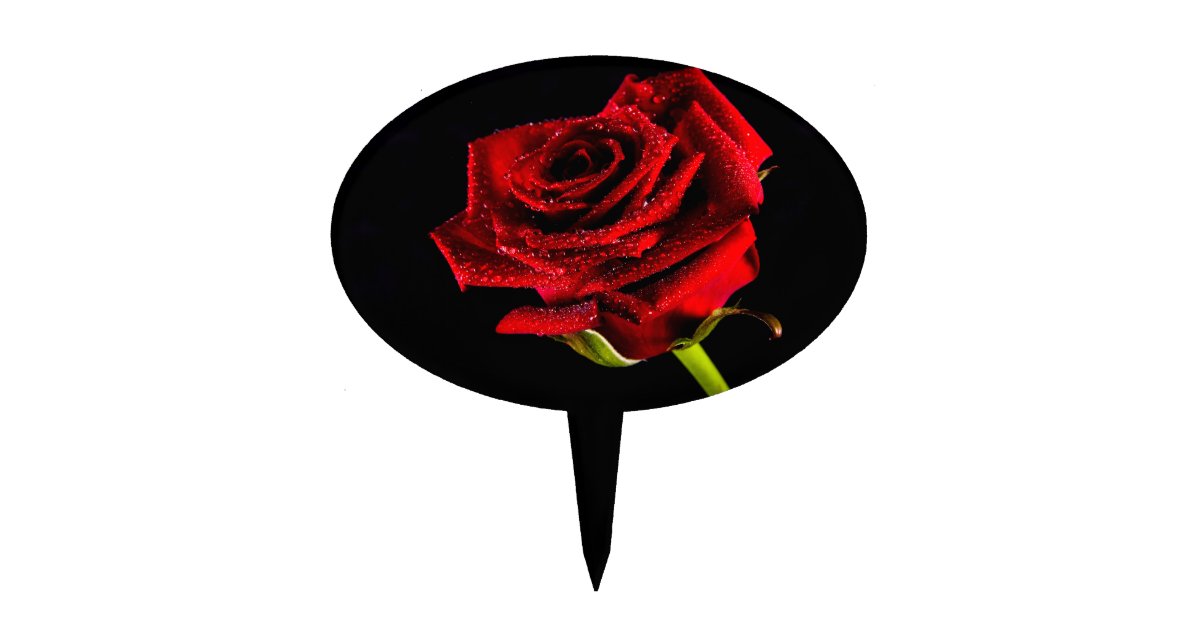 Beautiful red rose cake topper | Zazzle